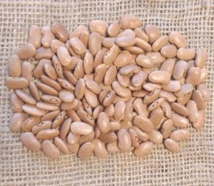 PURPLE PRIZE – Beans and Herbs