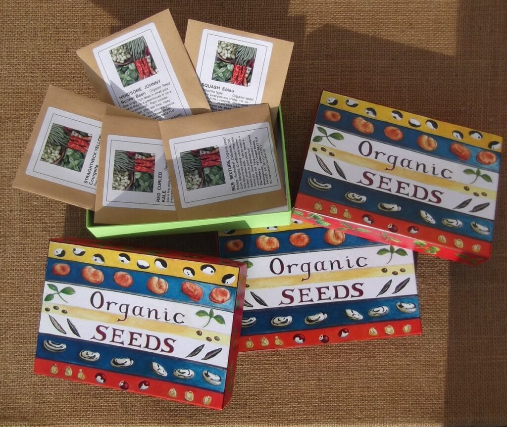 SEED BOXES – Beans and Herbs